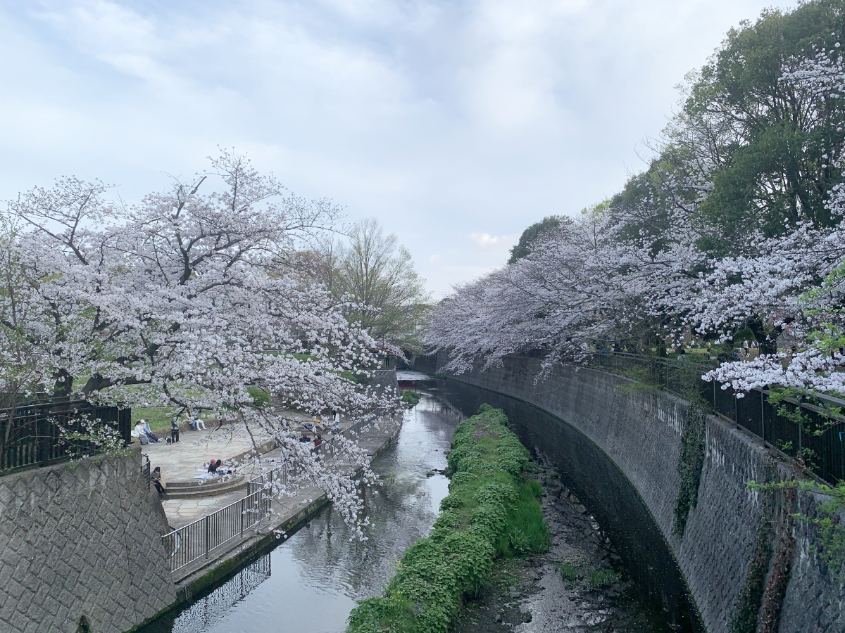 Home - TokyoWalkingTours