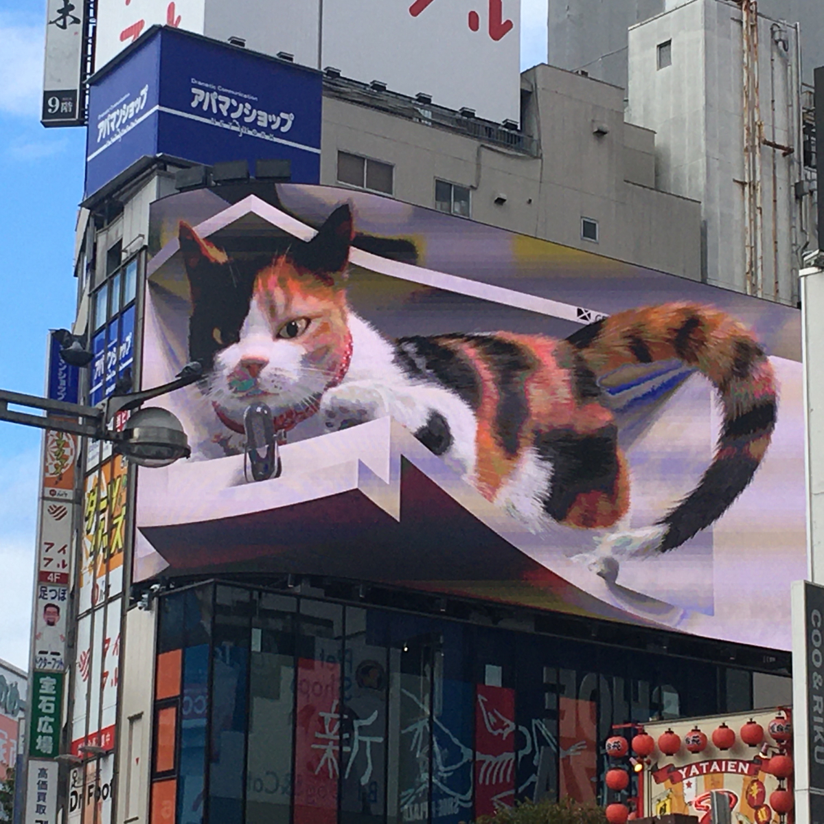 Shinjuku's 3D Cat Billboard: A Purr-fectly Immersive Experience ...
