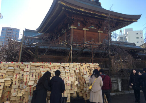 Yushima Tenjin: A Scholar's Sanctuary and a Sea of Hope - TokyoWalkingTours